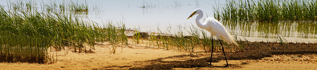 Contact Stratton Ridge Energy Hub | Pinto Energy Partners